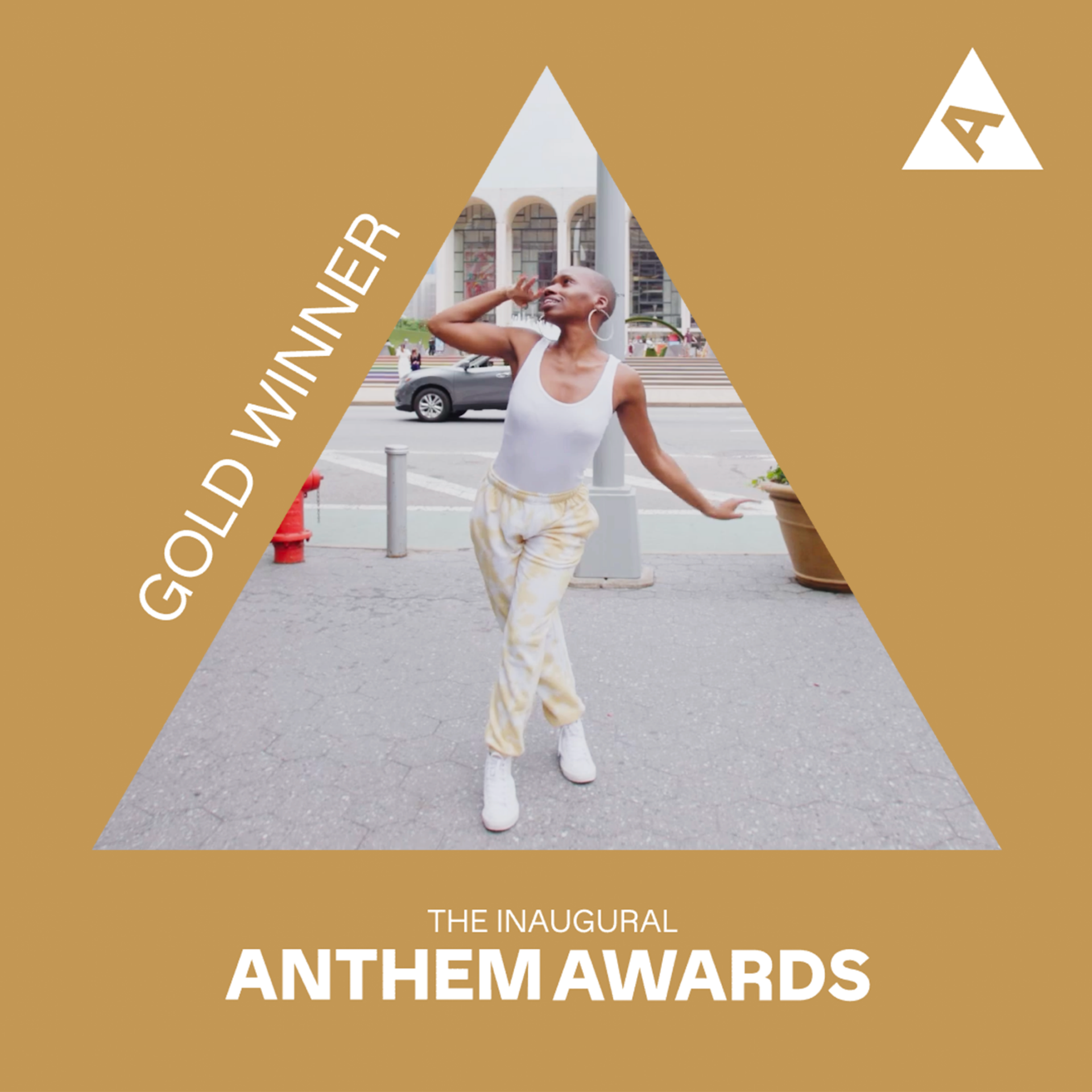 Show the Good wins a Gold and a Bronze Anthem Award! - Show The Good